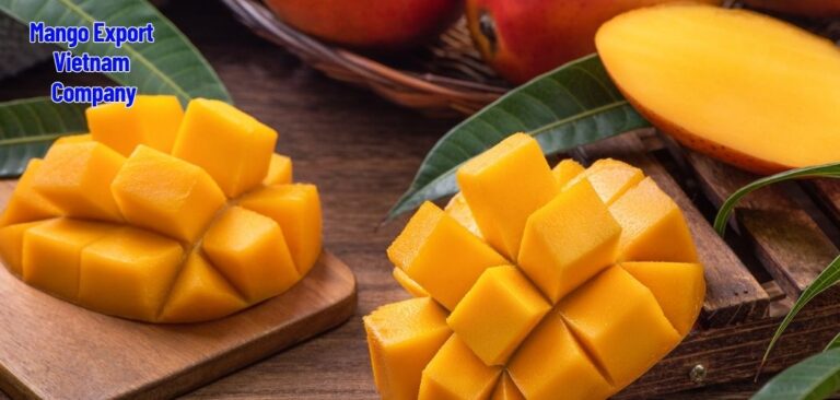 Vietnamese Mango Varieties: Cat Chu, Hoa Loc, and More - Mango Export ...