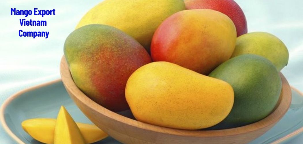 Ensuring Food Safety in Dried Mango Production for Export - Mango ...