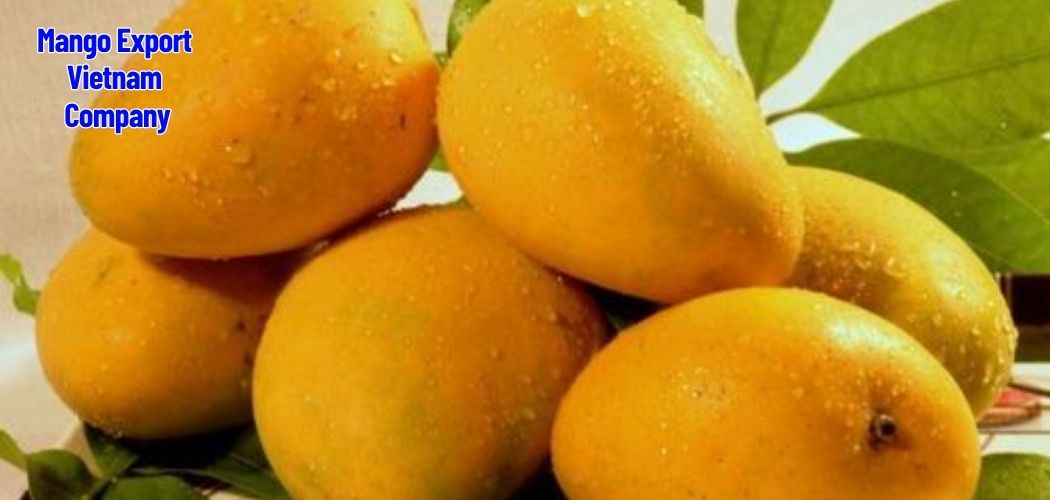 Packaging Solutions for Dried Mango: Preserving Freshness & Quality ...
