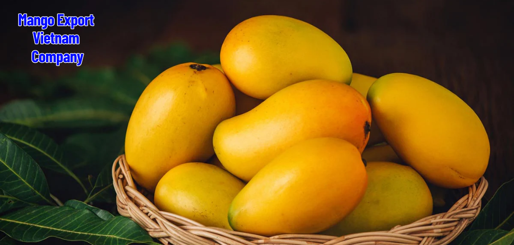 Health Benefits of Dried Mango: A Nutritious Snack Option - Mango ...