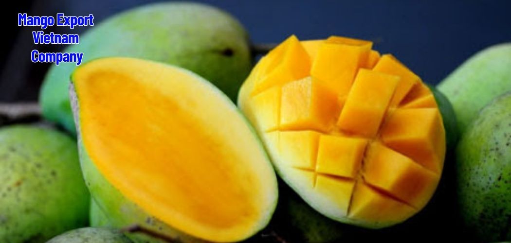 Harvesting Techniques for Export-Quality Vietnamese Mangoes - Mango ...